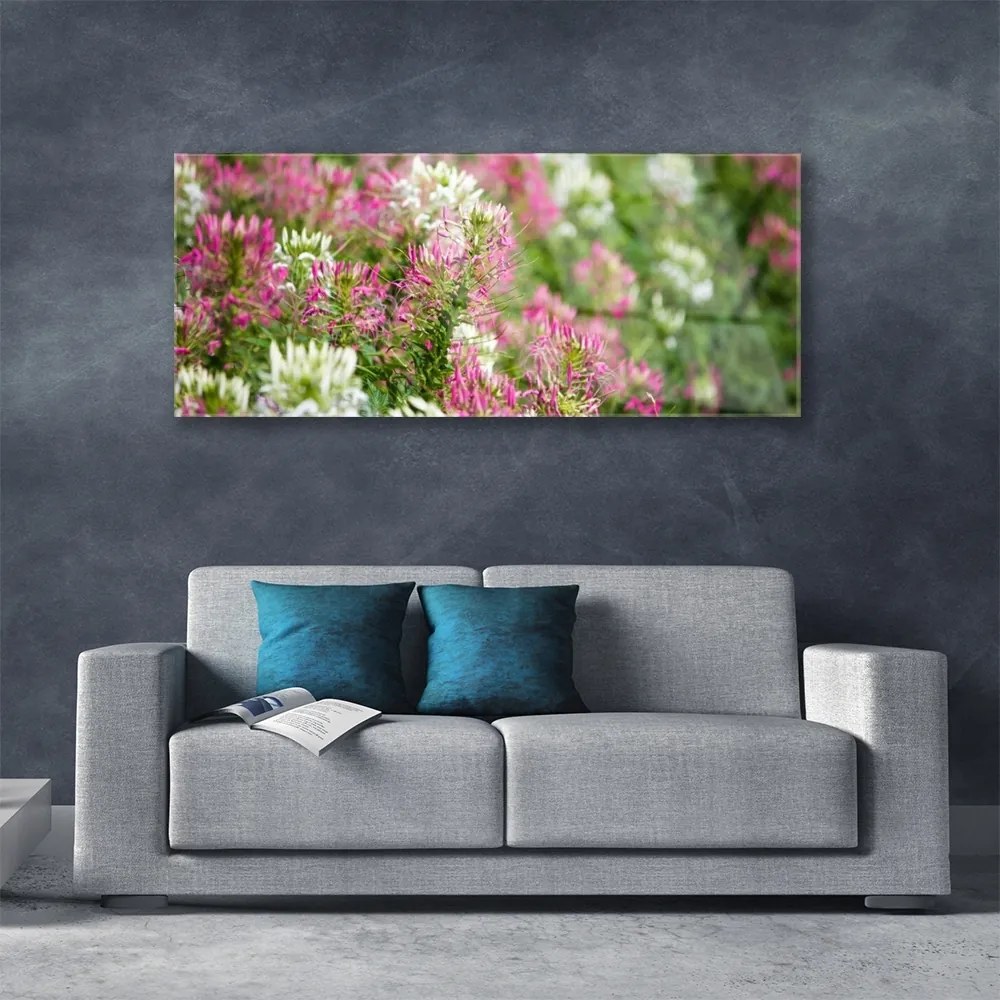 Plexisklo-obraz Polní Květiny Louka Příroda 125x50 cm