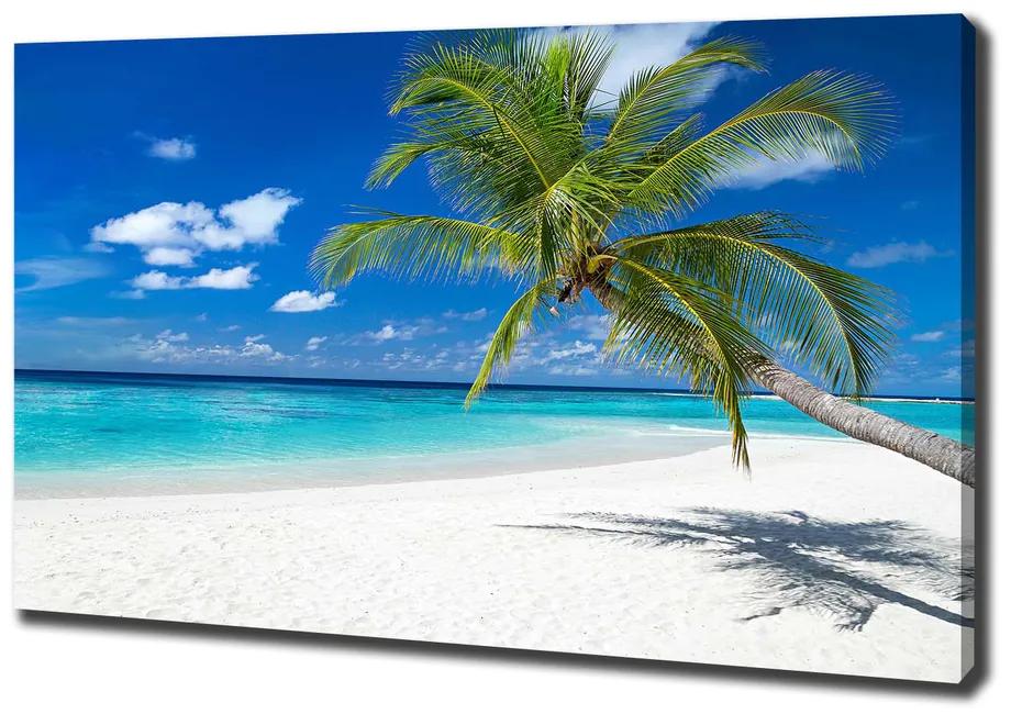 Wallmuralia Foto obraz na plátně Tropická pláž 100x70 cm