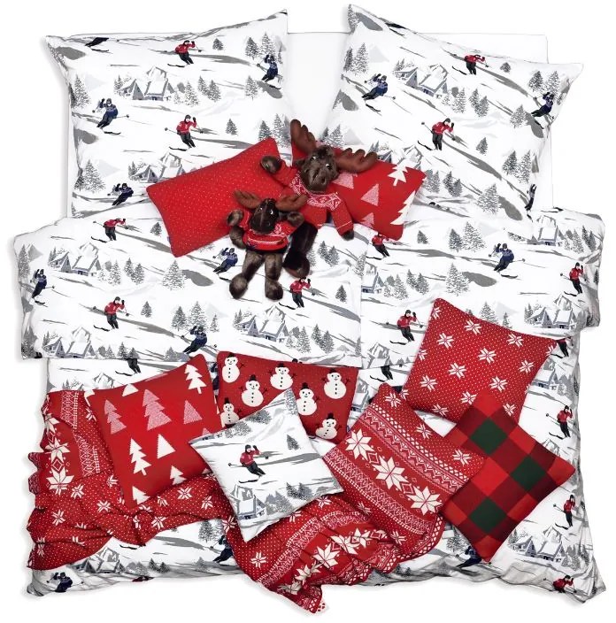 SCANquilt povlečení KLASIK SOFT ski boarding bílošedá 140 x 220/70 x 90 cm