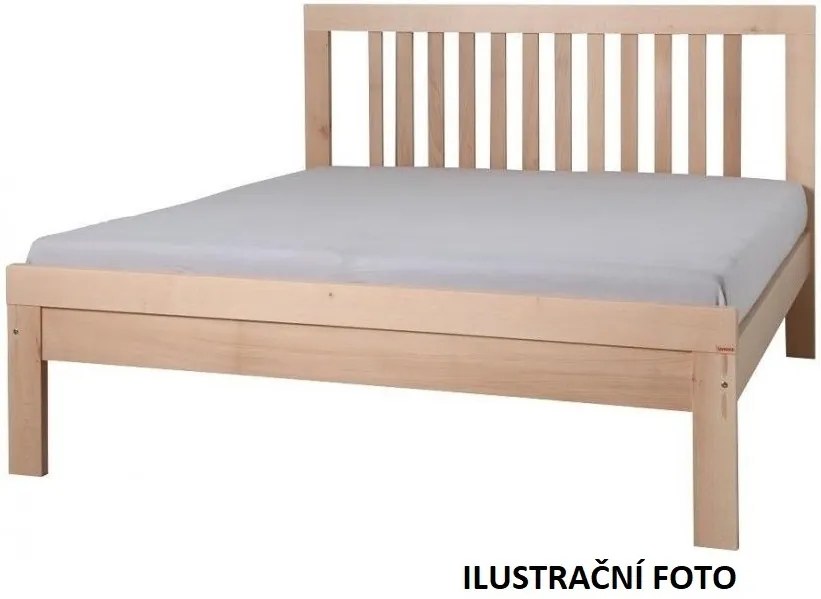 Zvýšená postel Lettya, 160x200,  masiv buk cink GAZEL