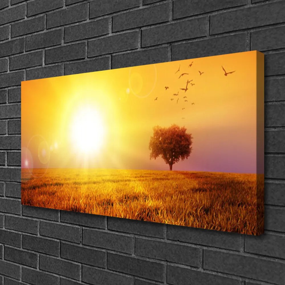Obraz na plátně Západ Slunce Louka Plátky 100x50 cm