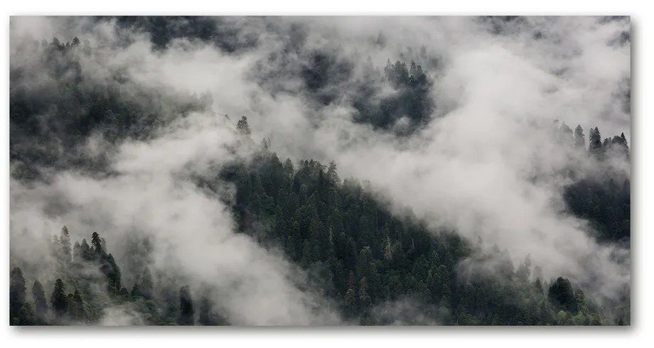 Wallmuralia Foto obraz akrylový na stěnu Mlha nad lesem 120x60 cm