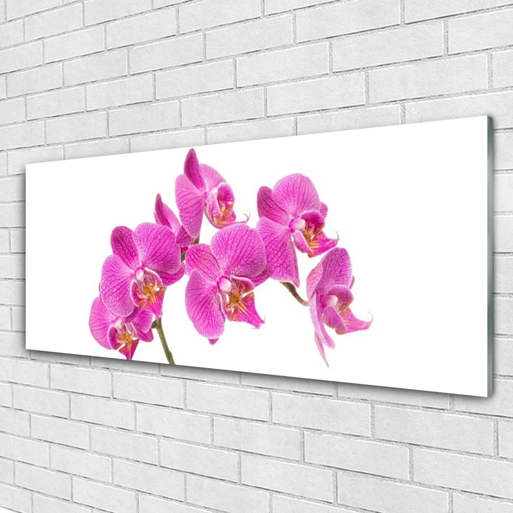 Plexisklo-obraz Orchidej Květiny Příroda 125x50 cm
