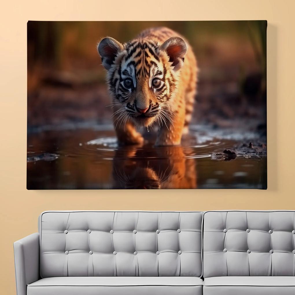 Obraz na plátně - Mládě tygra v louži FeelHappy.cz Velikost obrazu: 120 x 80 cm