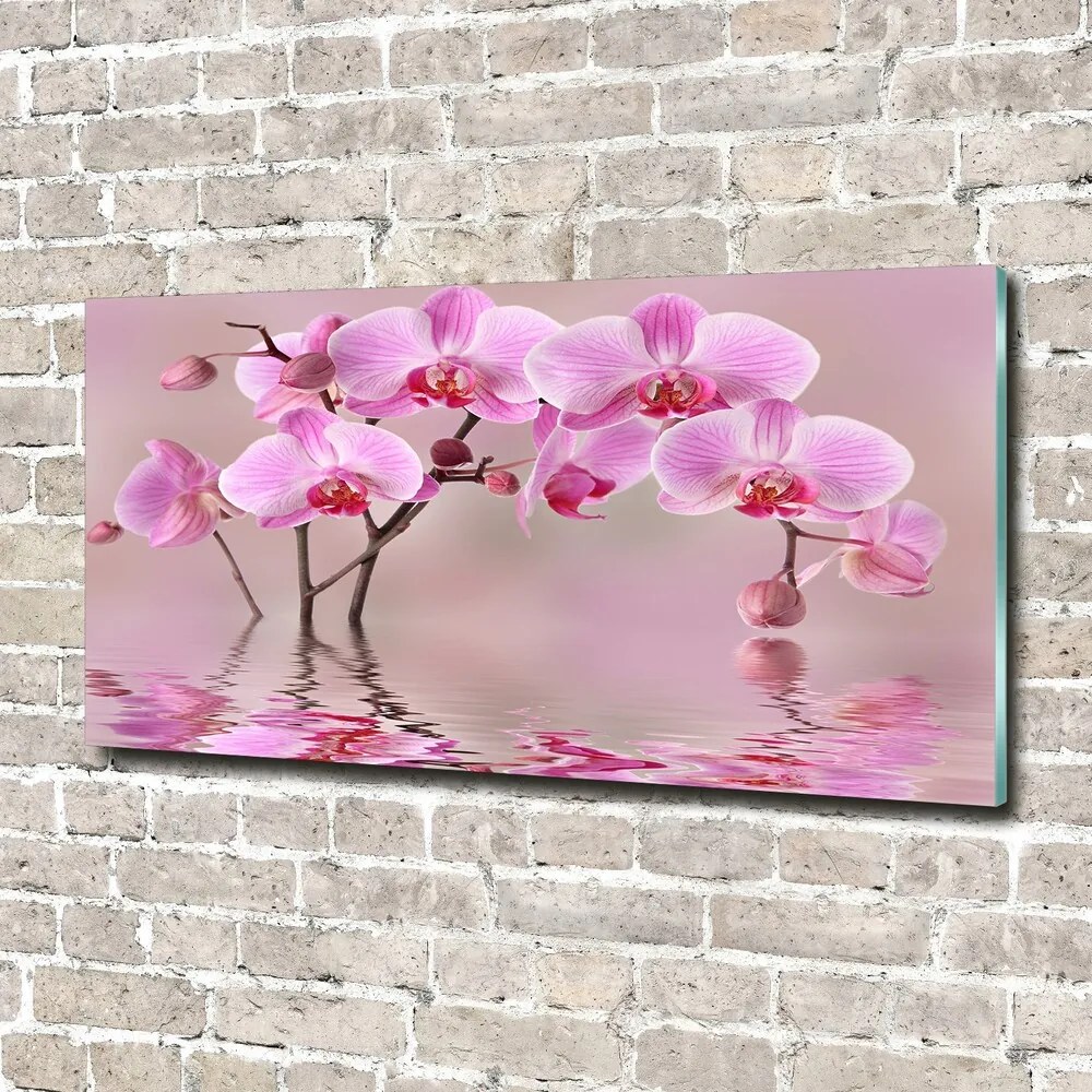 Wallmuralia Moderní foto obraz na stěnu Růžová orchidej 140x70 cm