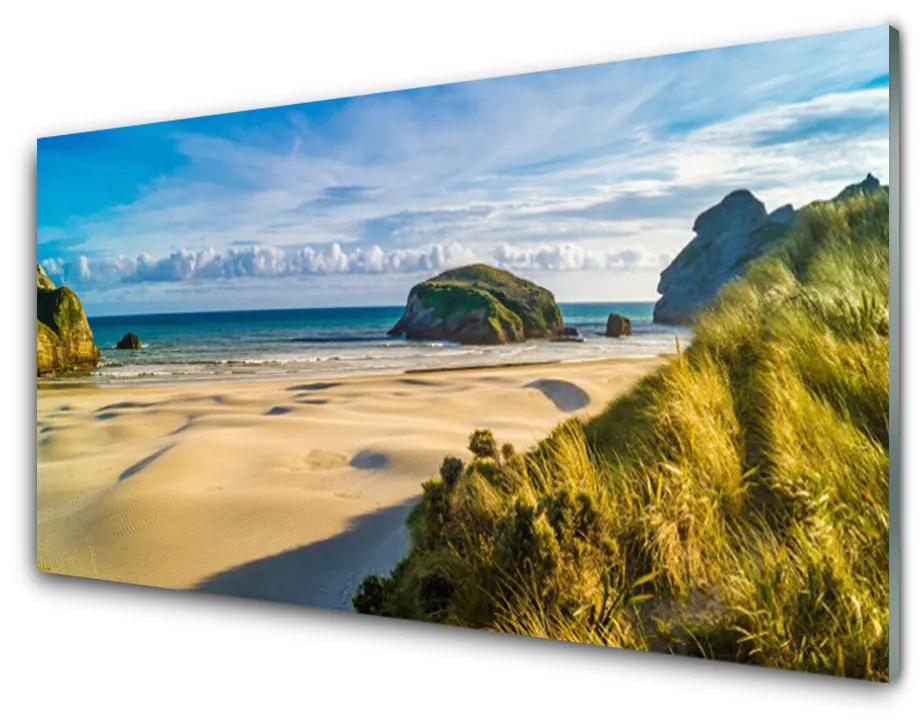 Obraz na skle Pláž Kameny Krajina 100x50 cm