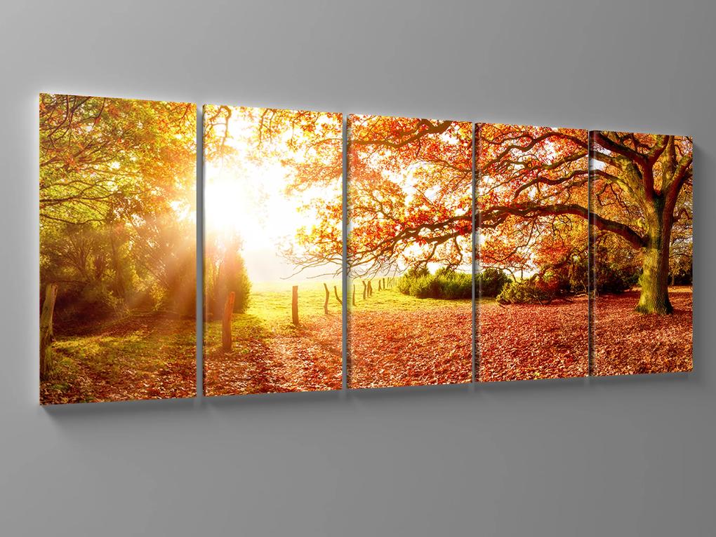 Liox Obraz podzimní krajina Rozměr: 200 x 80 cm