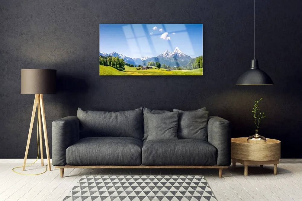 Obraz na skle Pole Stromy Hory Krajina 120x60 cm