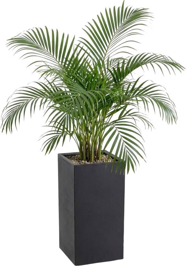 Sada 2 ks květináčů BETONIQUE 30x30/30x60 cm - výběr z 2 provedení