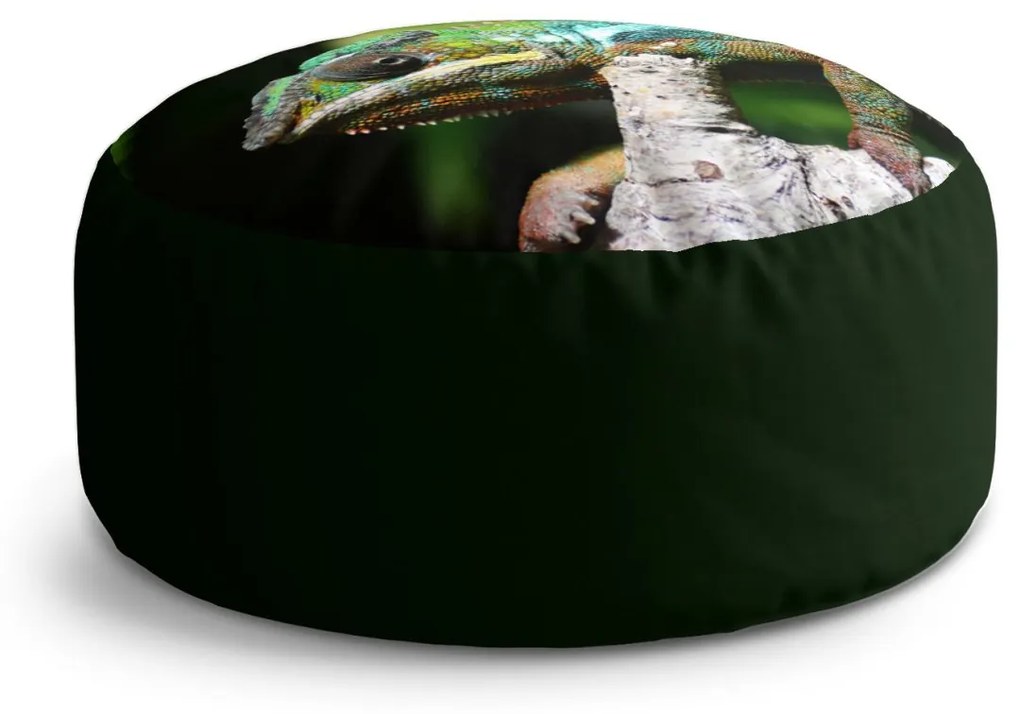 Sablio Taburet Circle Chameleon: 38x48 cm