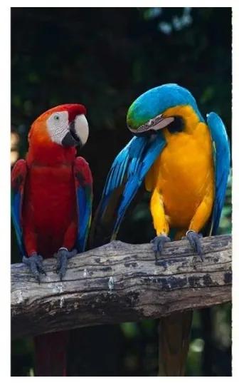 DIMEX | Vliesová fototapeta na zeď Barevní papoušci Ara MS-2-0223  | 150 x 250 cm | vícebarevná