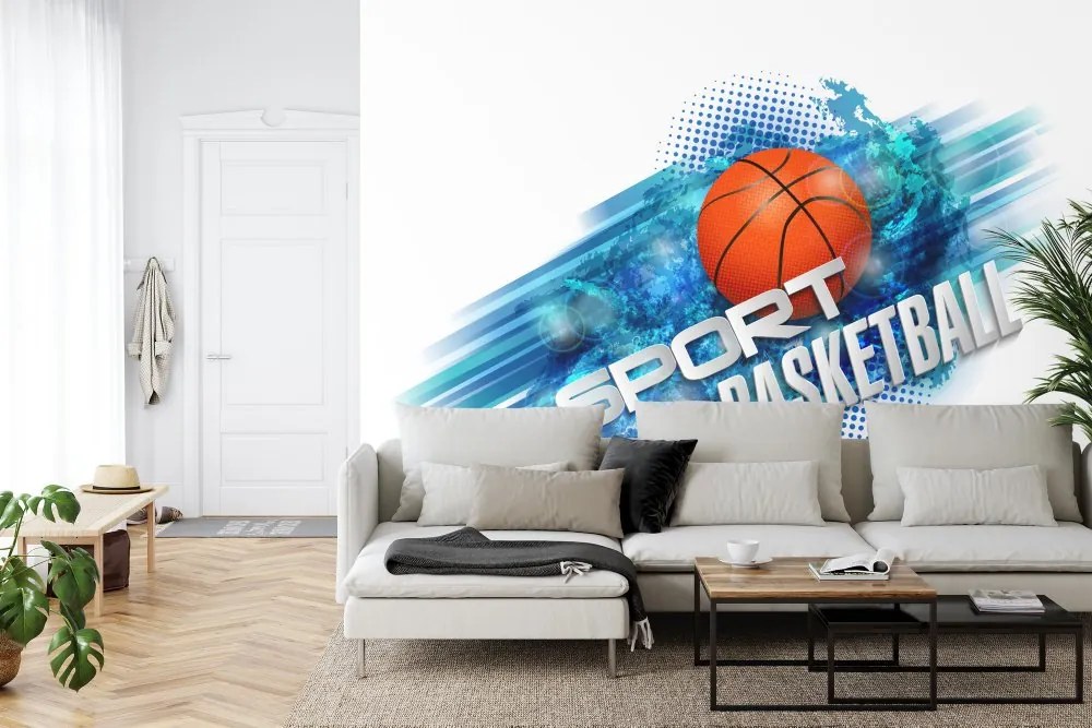 Fototapeta Basketbal V Moderním Stylu Samolepící tapety 254x184