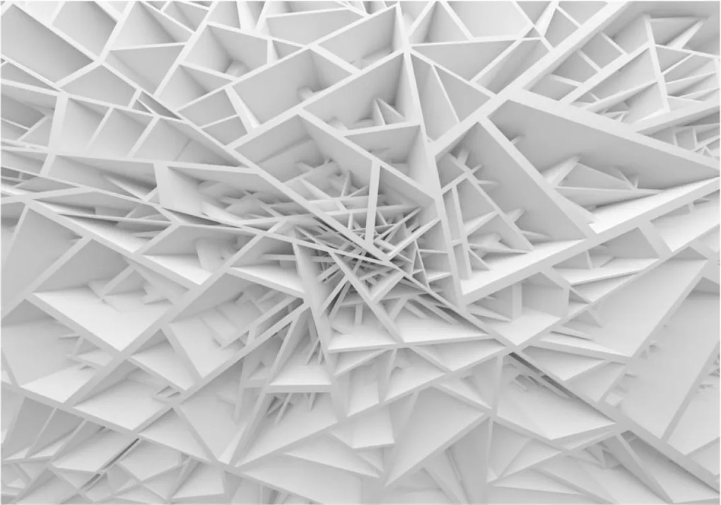Tapeta bílá pavučina (150x105 cm) - Murando DeLuxe