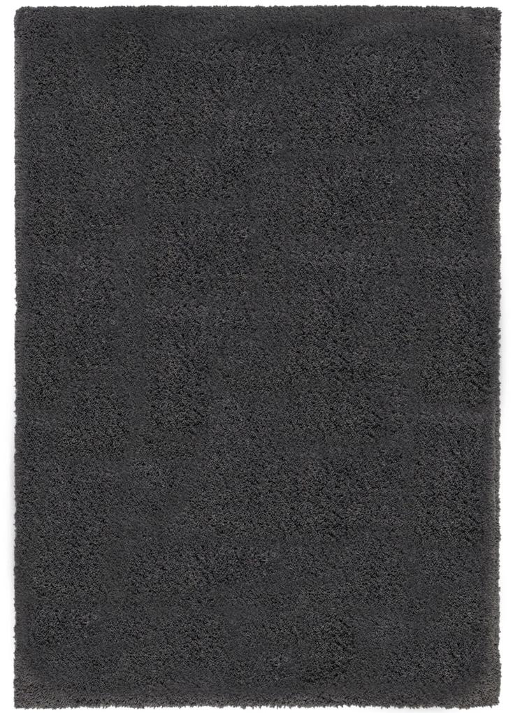 Flair Rugs koberce Kusový koberec Shaggy Teddy Charcoal - 160x230 cm