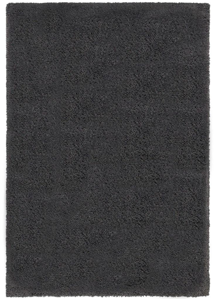 Flair Rugs, Kusový koberec Shaggy Teddy Charcoal, 120x170, šedá, ložnice