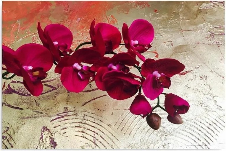 Foto-Obraz Plátno Canvas Orchideje 10 80x60