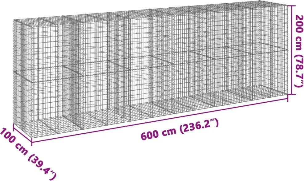 Gabionový koš s víkem 600 x 100 x 200 cm pozinkované železo 3295235