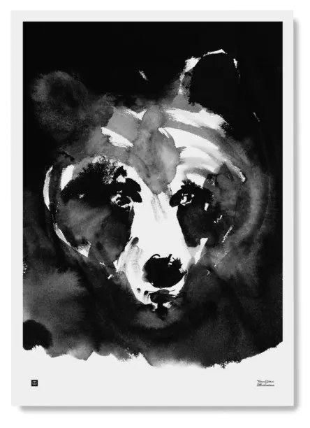 Plakát Mysterious Bear velký 50x70 cm Teemu Järvi Illustrations