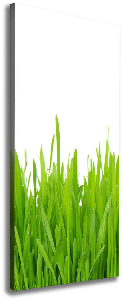 Wallmuralia Foto obraz na plátně Zelená tráva 50x125 cm