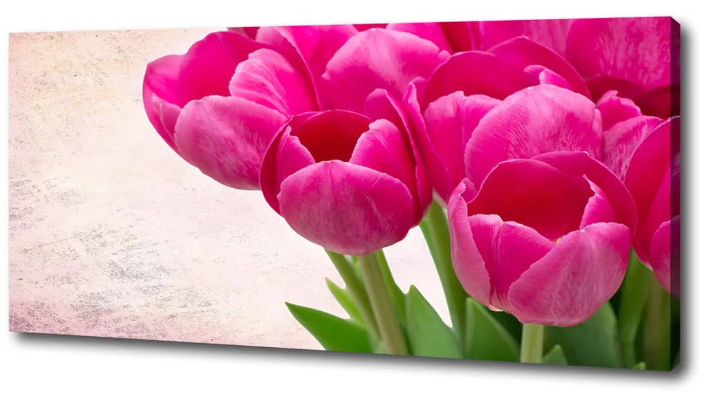 Moderní obraz canvas na rámu Růžové tulipány