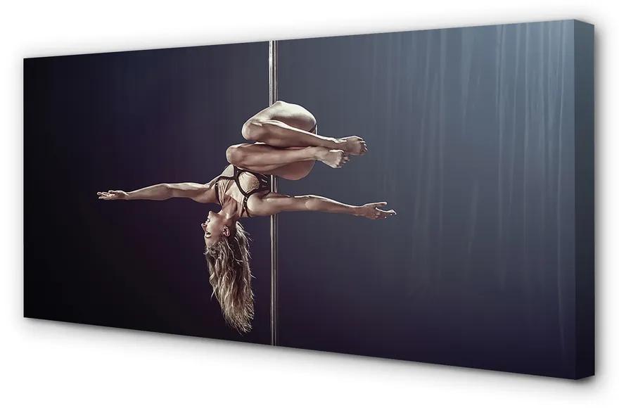 Obrazy na plátně Tanec trubka žena 100x50 cm