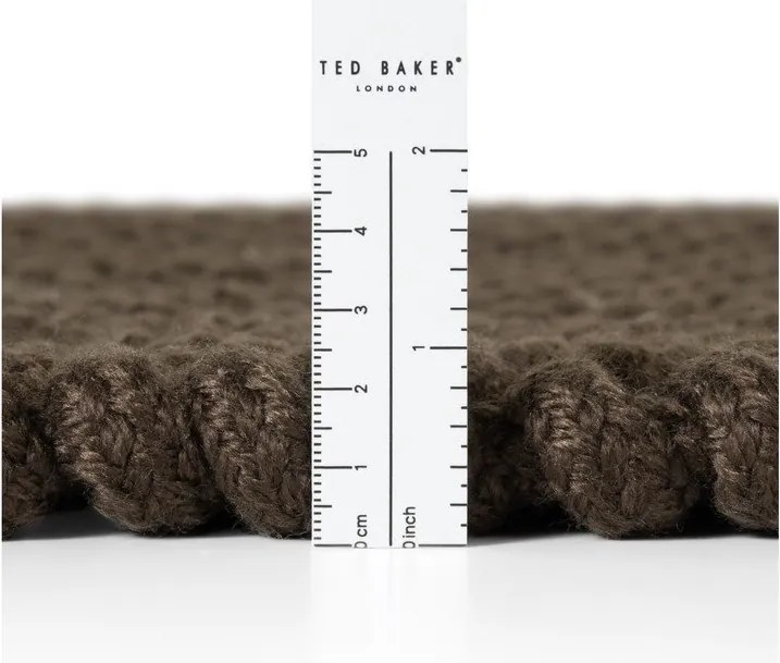 Tmavě hnědý vnitřní a venkovní běhoun 80x250 cm Southwark – Ted Baker