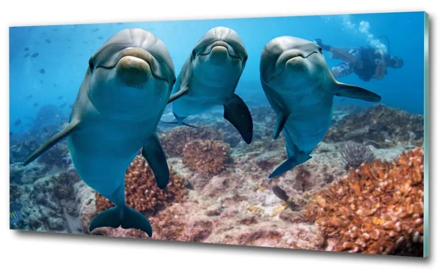 Wallmuralia Foto obraz sklo tvrzené Delfíny 100x50