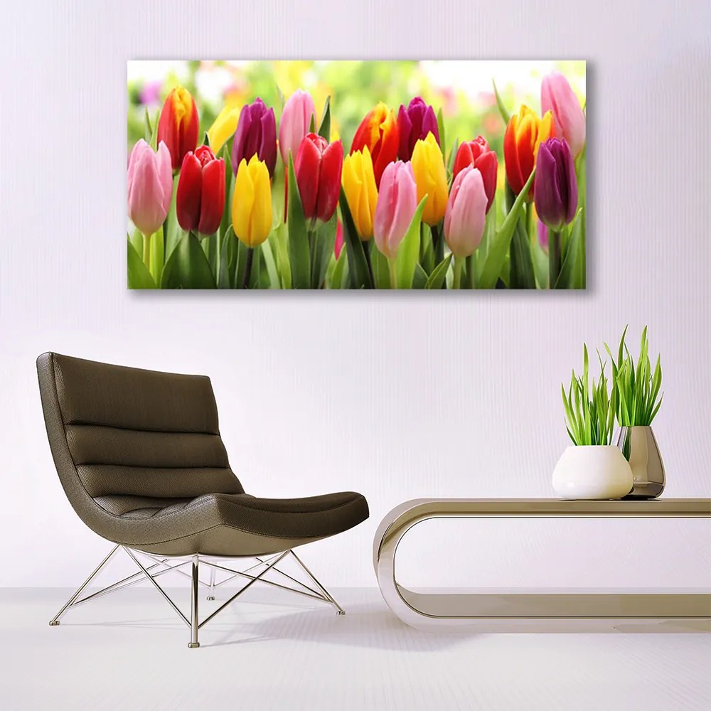 Plexisklo-obraz Tulipány Květiny Příroda 120x60 cm