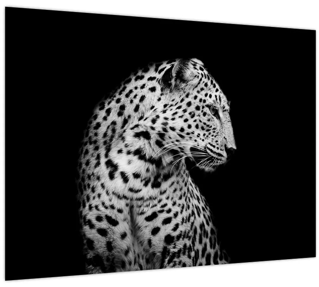 Skleněný obraz - Leopard (70x50 cm)