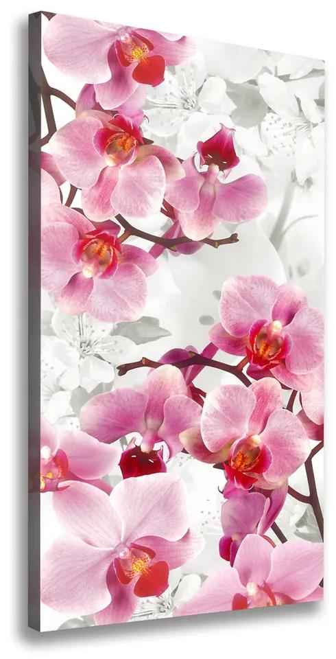 Wallmuralia Foto obraz na plátně Růžová orchidej 50x100 cm