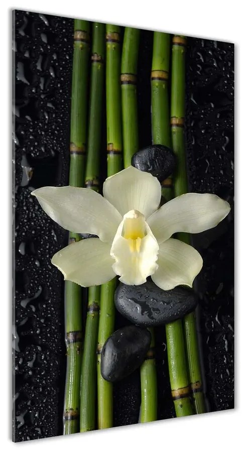 Wallmuralia Foto obraz akrylový Orchidej a bambus 60x120 cm
