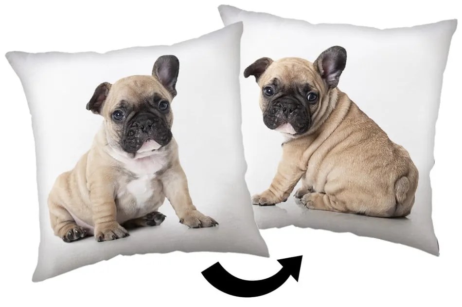 Dětský polštářek 40x40 cm Bulldog – Jerry Fabrics Biano.cz