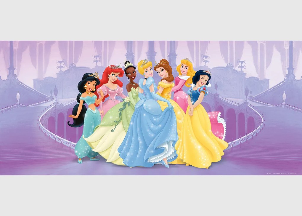 Dětská vliesová fototapeta na zed' Princezny všechny spolu, Disney | 202 x 90 cm | DFTDNH 5318