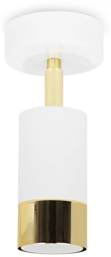 Stropní svítidlo HUGO, 1x bílé/zlaté kovové stínítko, (možnost polohování)
