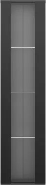 Aosom Vitrína pro sběratele s LED světlem s měnícími se barvami a skleněnou přepážkou, 170 cm, černá