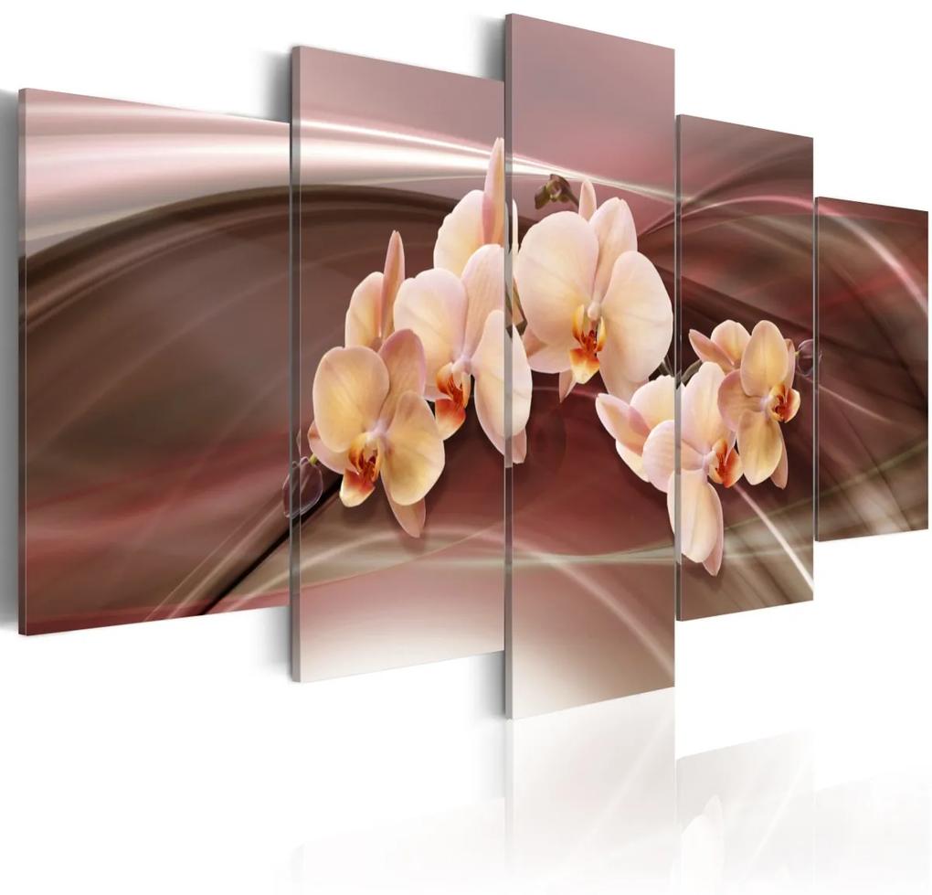 Obraz - Orchideje na hnědém pozadí - 100x50