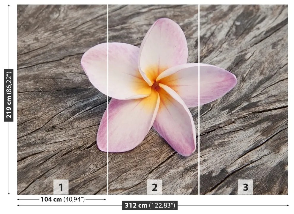 Fototapeta Frangipani Wood 104x70