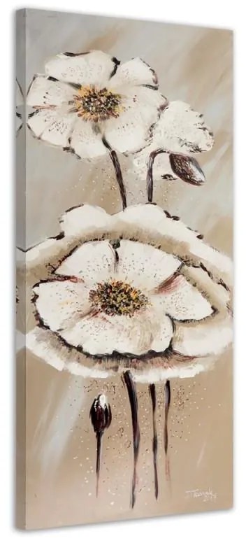 CARO Obraz na plátně - Two Flowers 1 20x50 cm