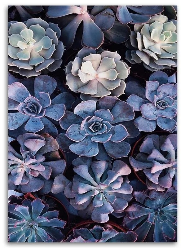 Obraz na plátně Skandinávské květy šeříku - 70x100 cm