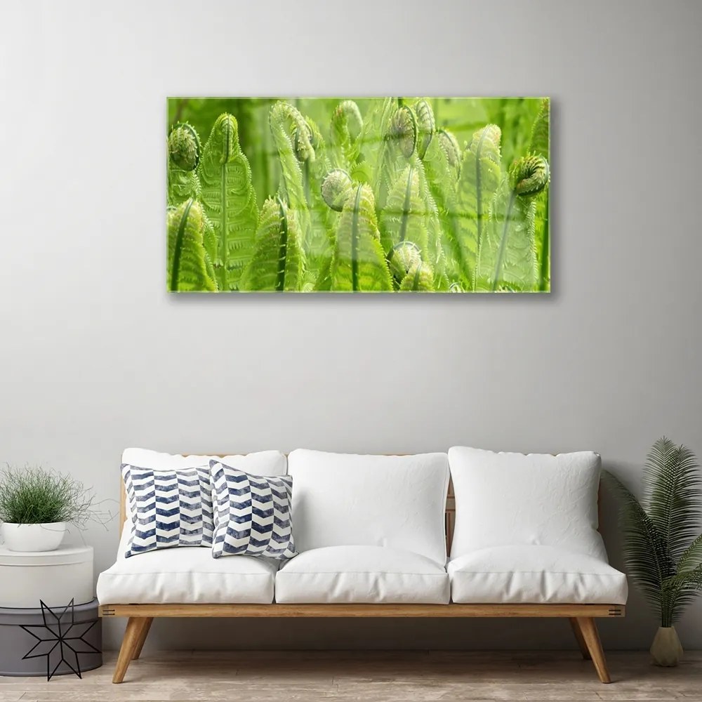 Obraz na skle Rostlina Příroda 120x60 cm