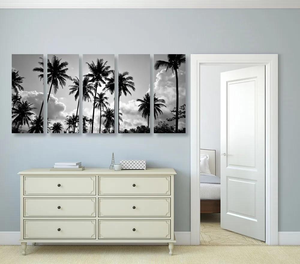 5-dílný obraz kokosové palmy na pláži v černobílém provedení - 100x50 cm