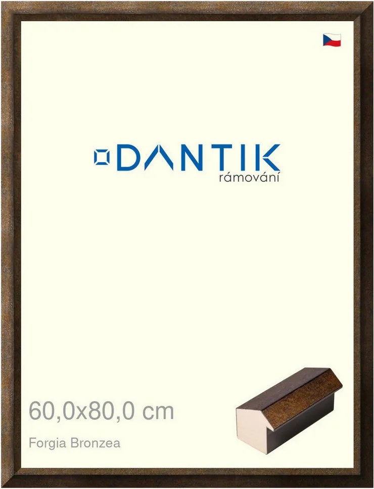 DANTIK rámeček 60x80 | Forgia Bronzea (Plexi Čiré)