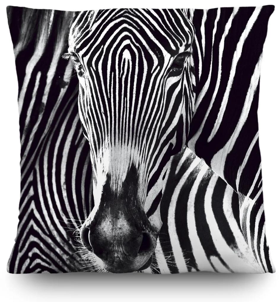 AG Art Polštářek Zebra, 45 x 45 cm