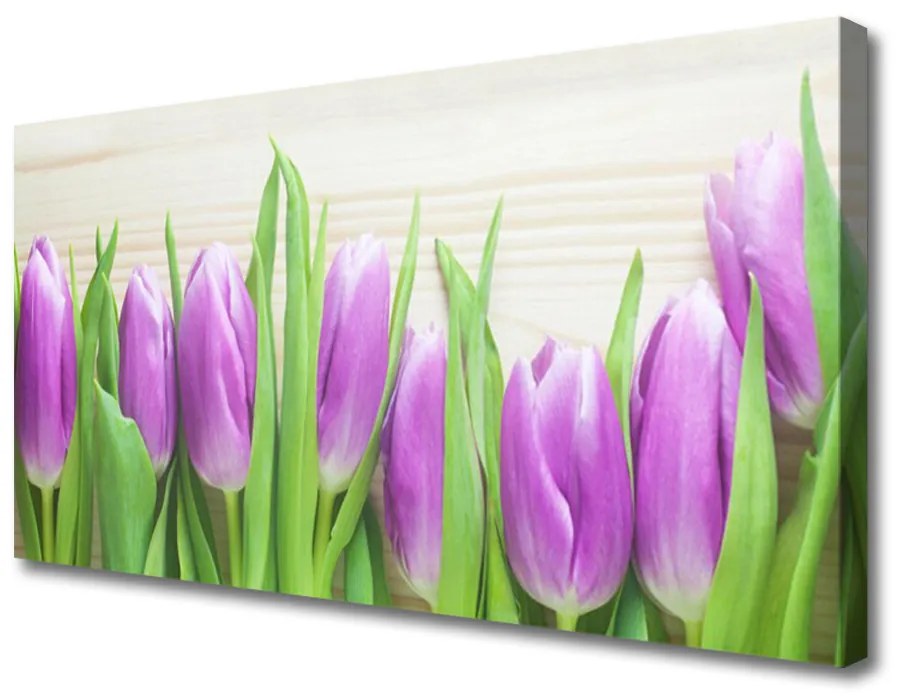 Obraz na plátně Tulipány Květiny Příroda 120x60 cm