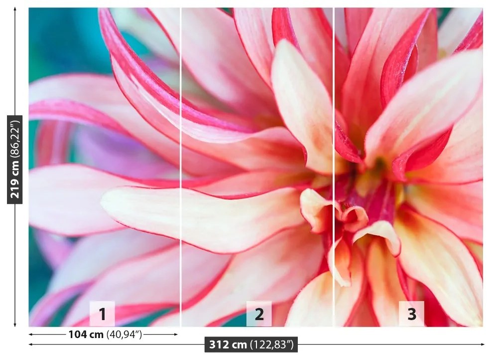 Fototapeta Exotická květina 104x70