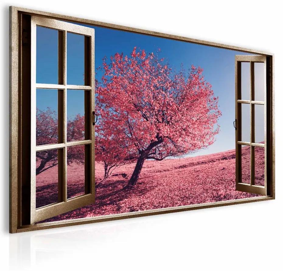 Obraz okno růžový strom