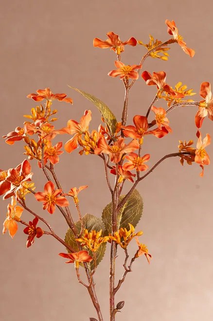 Paramit DRY TUNG FLOWER Aranžovací květina oranžová 63 cm