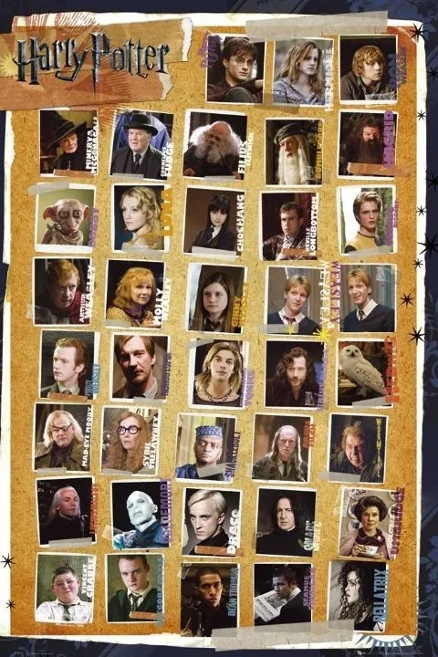 Plakát, Obraz - HARRY POTTER 7 - characters, (61 x 91,5 cm)