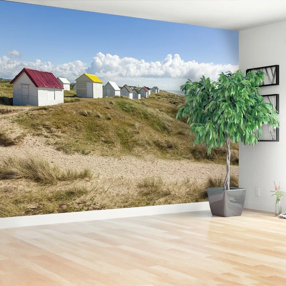 Fototapeta Dunes beach 104x70