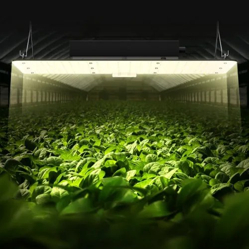 LED pěstební světlo, 200 W plnospektrální stmívatelné
